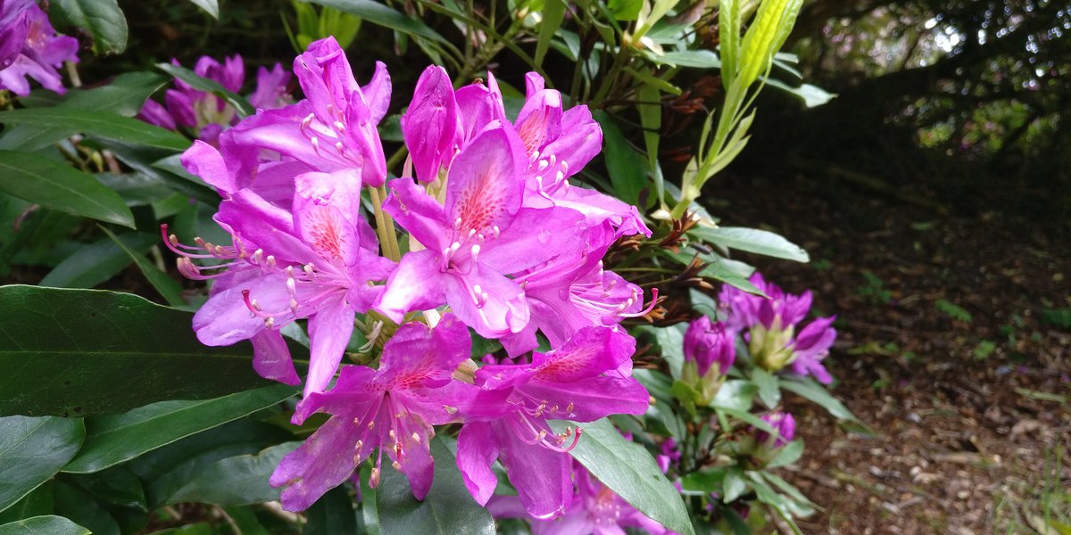 Photo Friday: 2018-10-19 | Pither.com / Simon