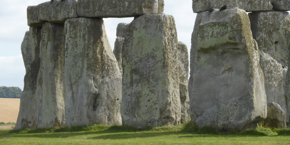 Photo Friday: 2019-06-07 | Pither.com / Simon